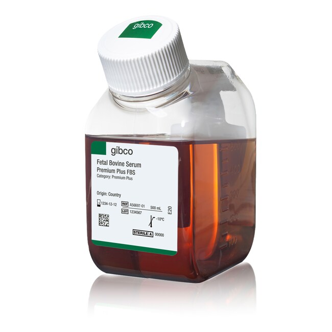 Fetal Bovine Serum, Premium Plus